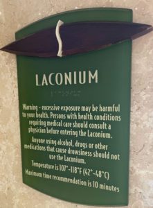 A Review Of The Rainforest Room On Disney Cruise Line