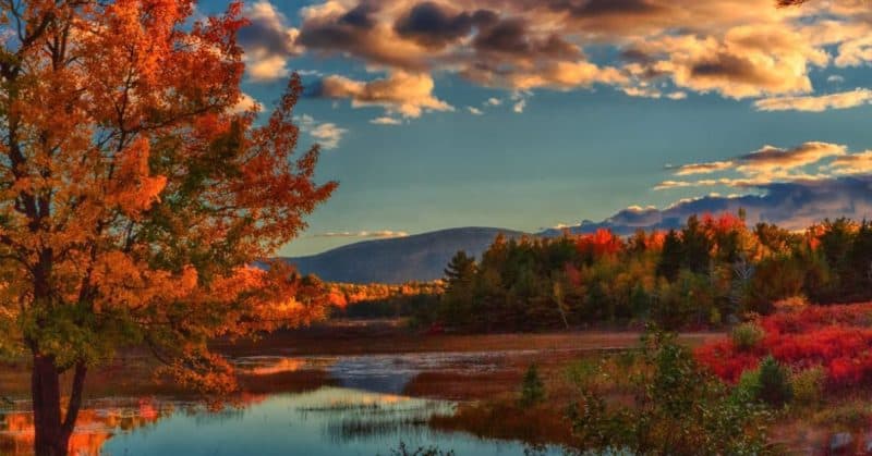 How To See Fall Colors In Acadia National Park