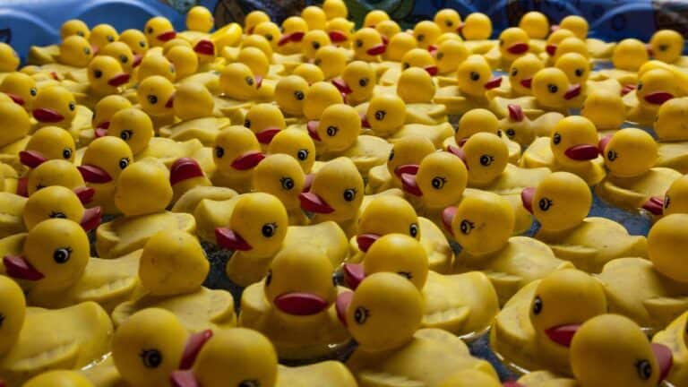 You Won't Believe These 20 Bizarre World Records Are Real